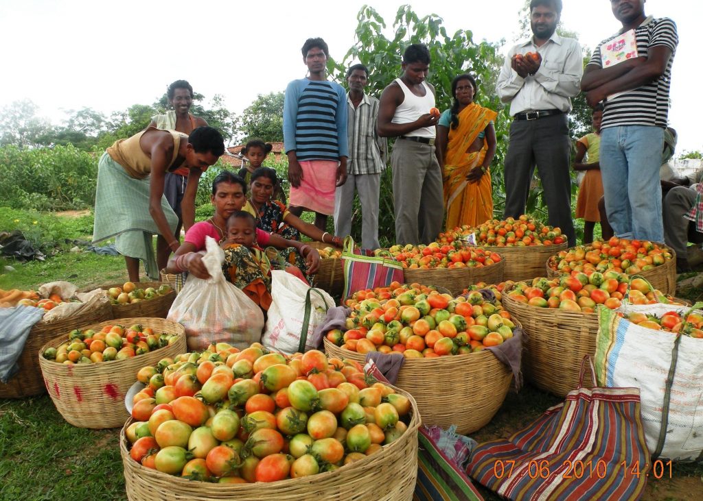 Jharkhand miracle through Netafim and drip irrigation - AsiaConverge